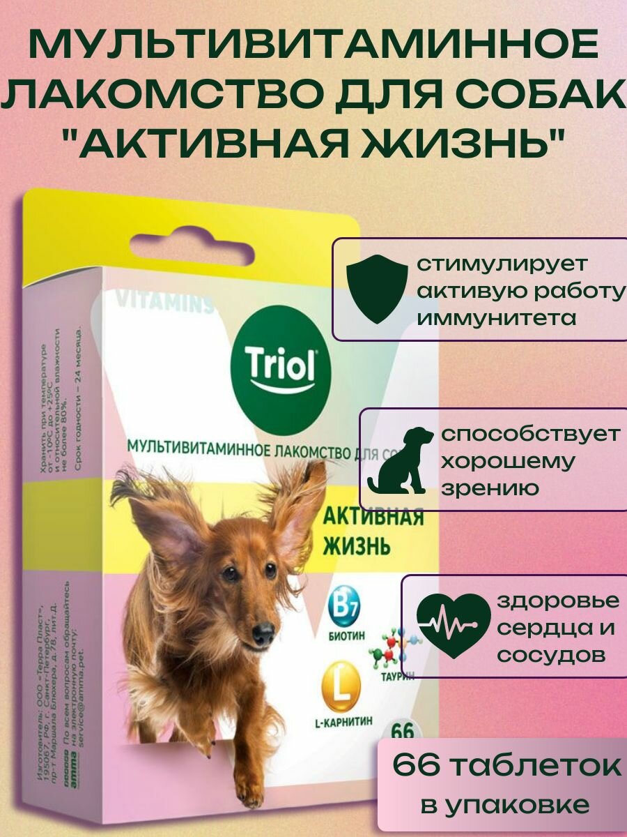 Мультивитаминное лакомство для собак "Активная жизнь", 33г, Triol
