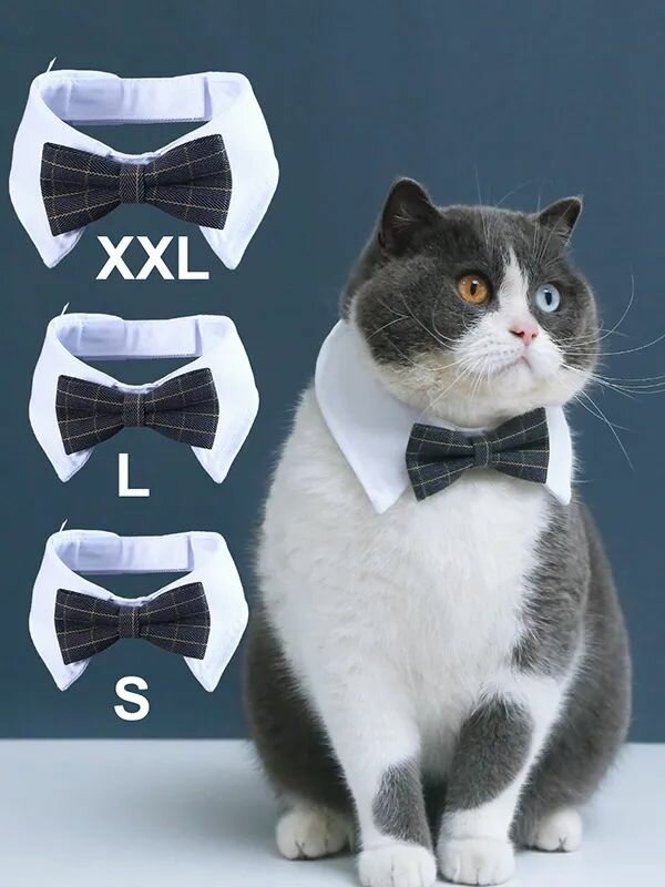 Ошейник-бабочка для собак и кошек