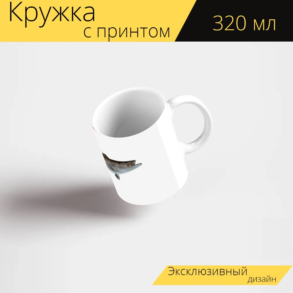 Кружка с рисунком, принтом "Морской морской форели Установленный Морской форели соленой морской форели рыба дикая природа сборе таксидермия Sealife водные морская жизнь игра рыбы" 320 мл.