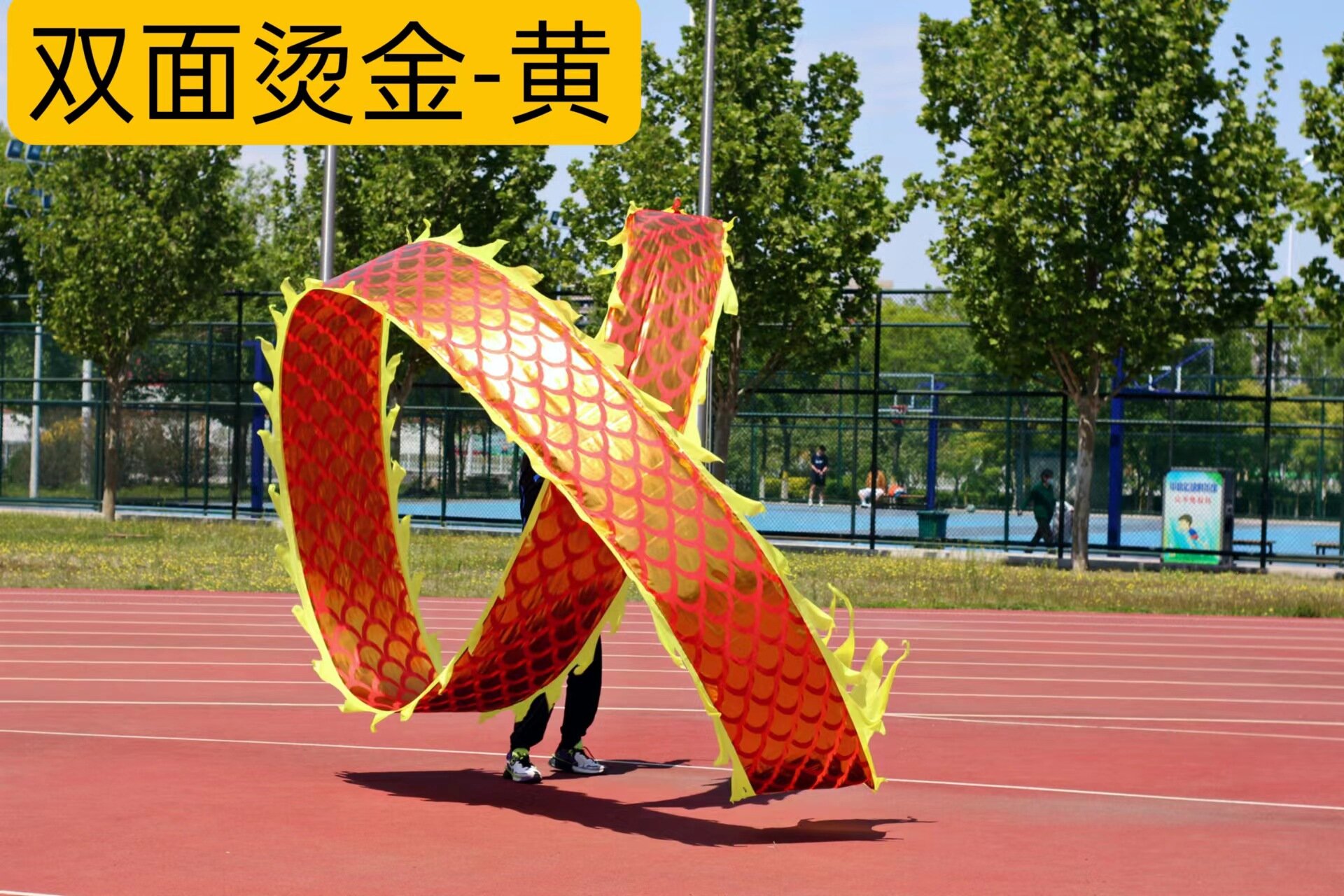 Фитнес-стример "Цветной дракон" для начинающих и пожилых людей, телескопическая качающаяся палка дракона, детский квадратный золотой танец цветного дракона