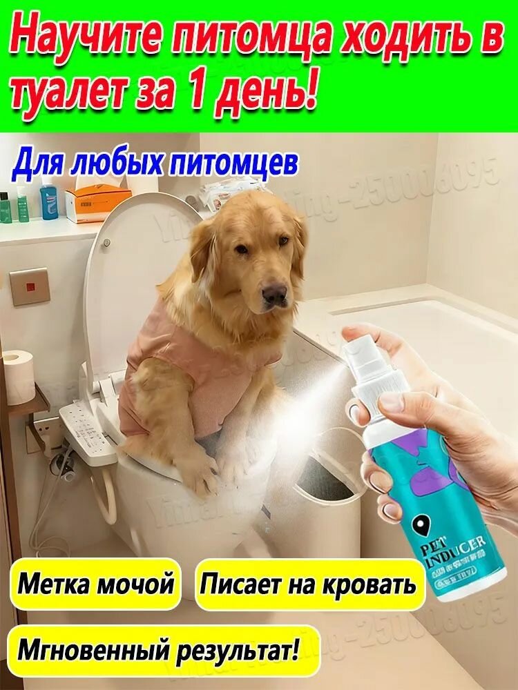 Корректор поведения для животных