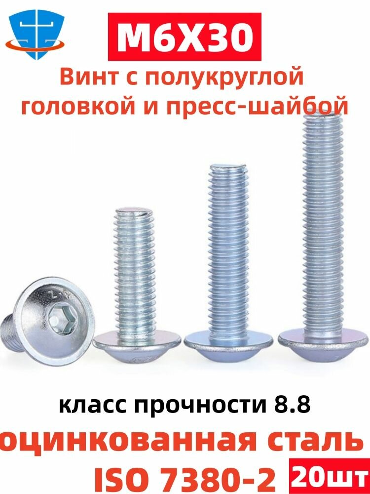 SHOUZHENG FASTENER Болт M6 x 6 x 30 мм, головка: Полукруглая, 20 шт.