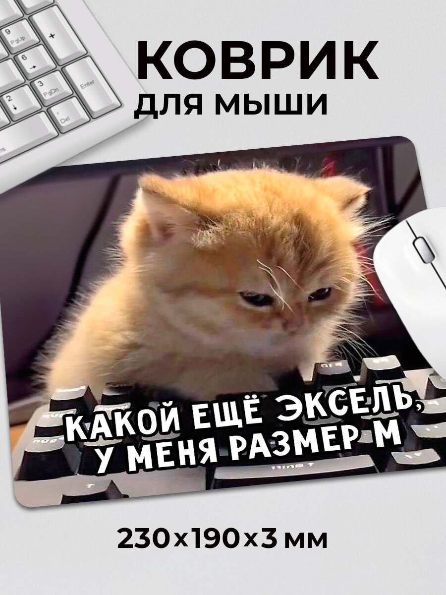 Коврик для мышки прикол мем Котик Какой еще эксель у меня размер М