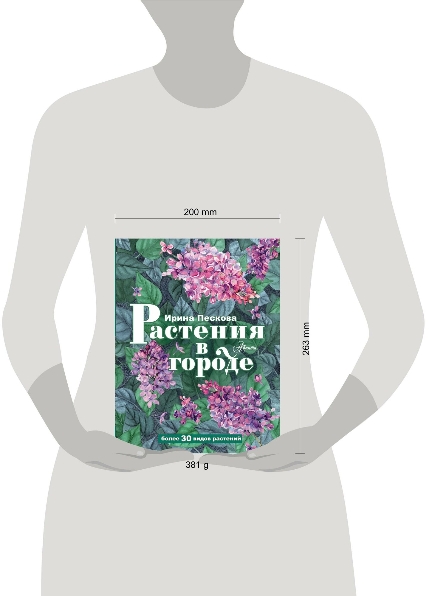 Растения в городе — фото 1