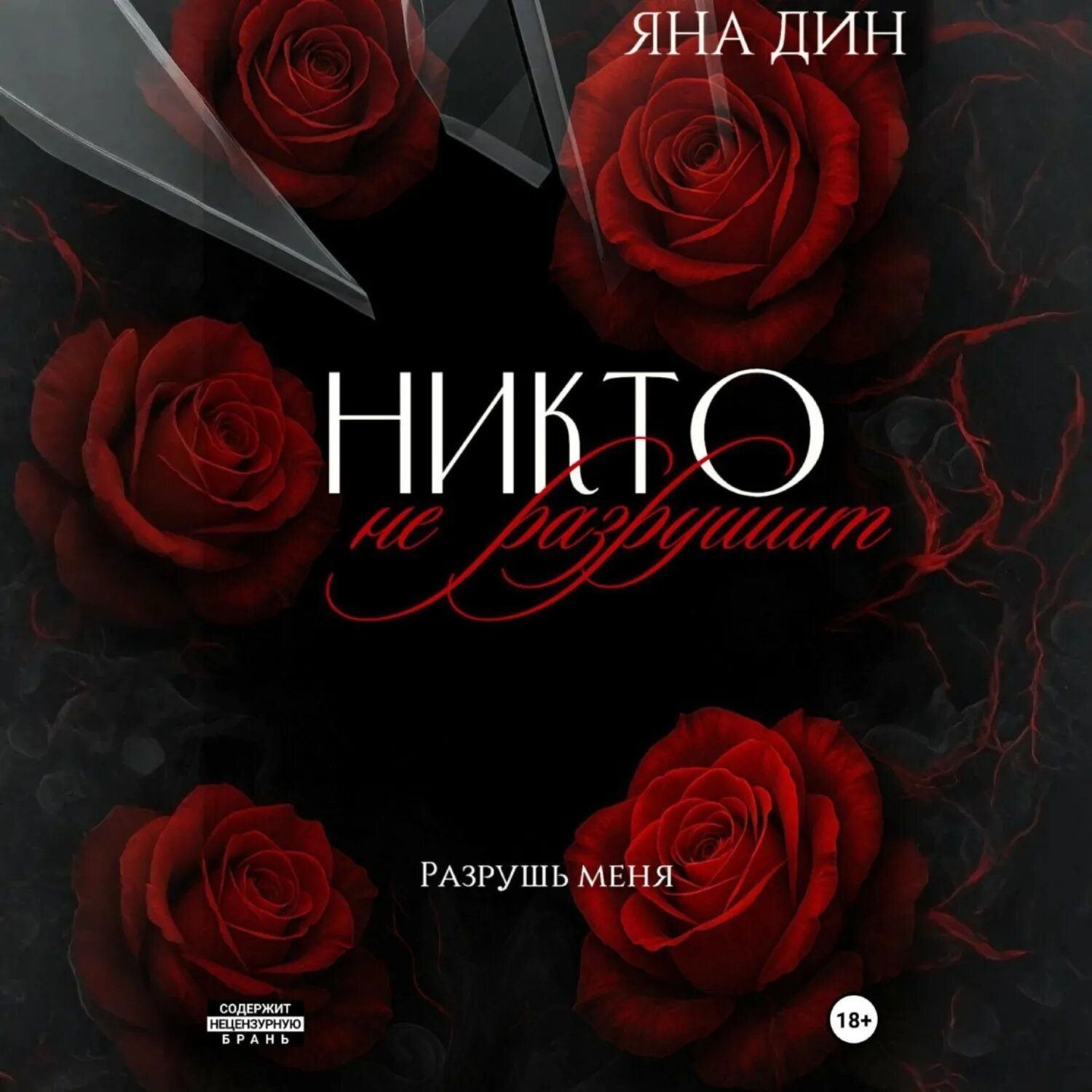 Никто не разрушит [Аудиокнига]