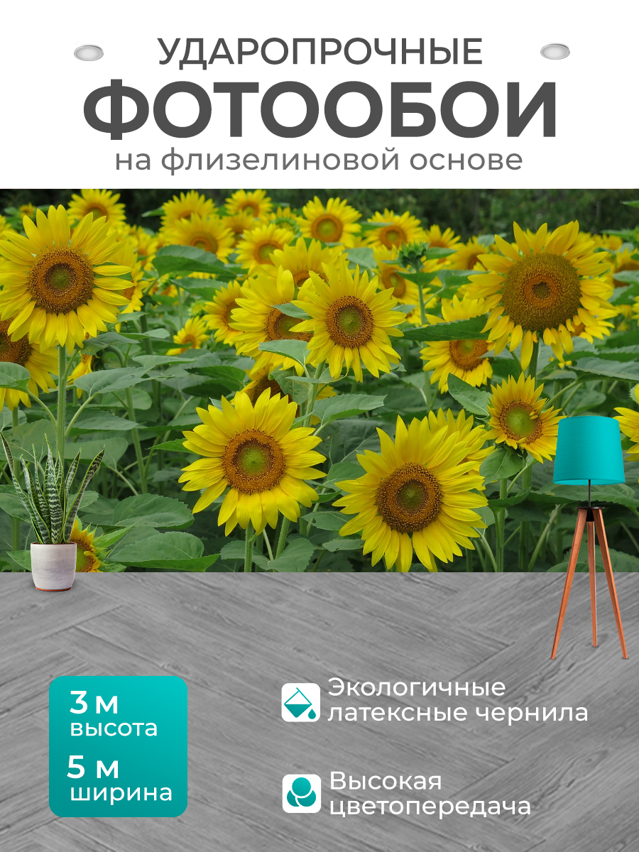 Фотообои моющиеся ударопрочные "Подсолнухи, цветы, желтый" 500x300 см. флизелиновые на стену