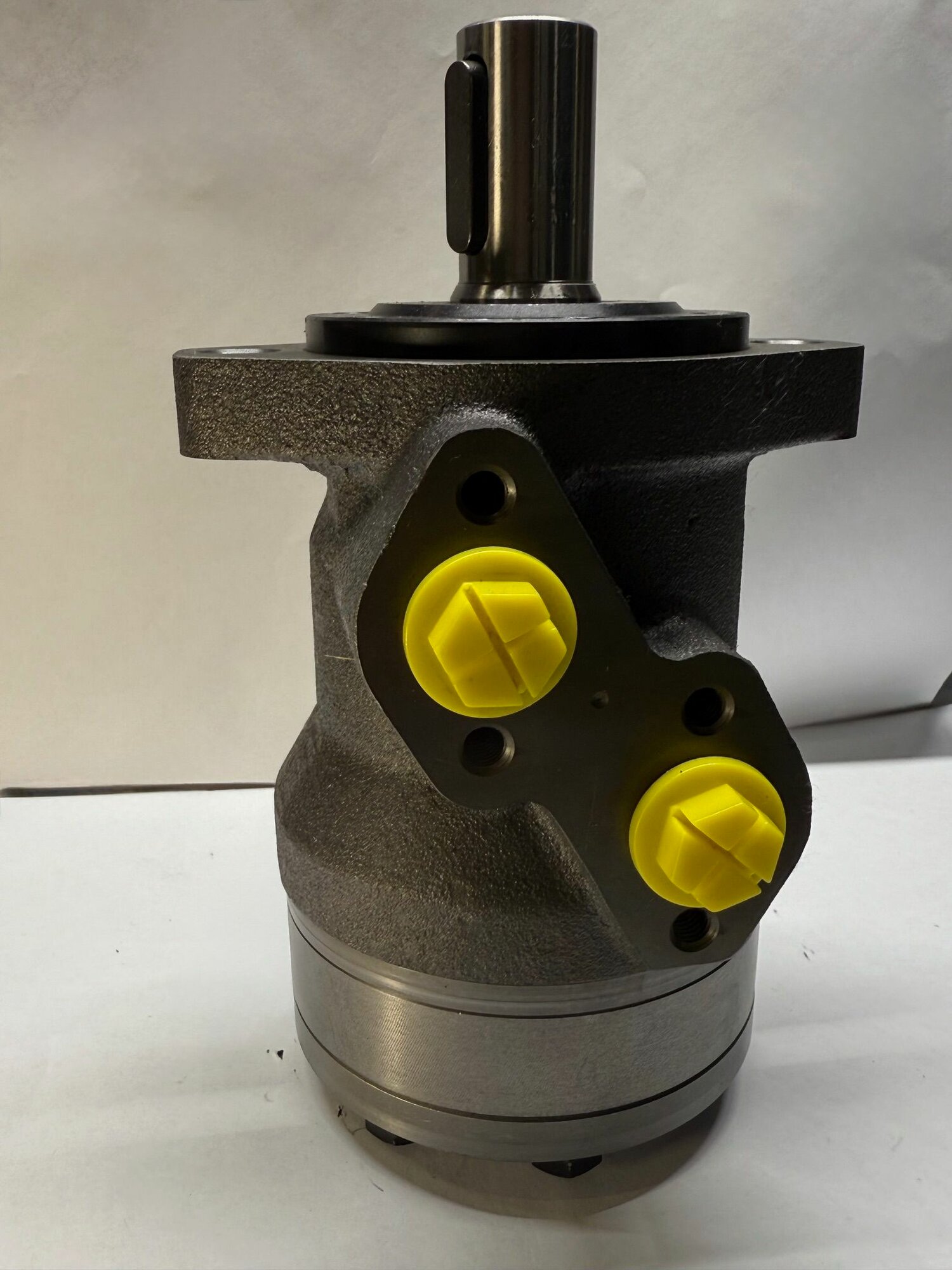 Гидромотор BMR-125P1AIIY