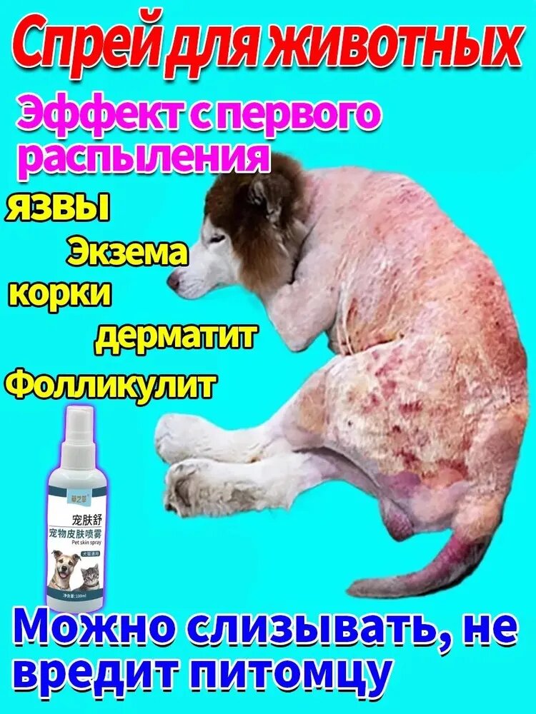 Спрей от стригущего лишая для кошек и собак , 100 мл, для ухода за кожей домашних животных, наружное применение