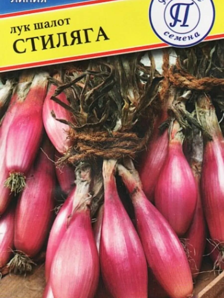 Лук шалот Стиляга (РС-1) 0,5 г, Семена Престиж