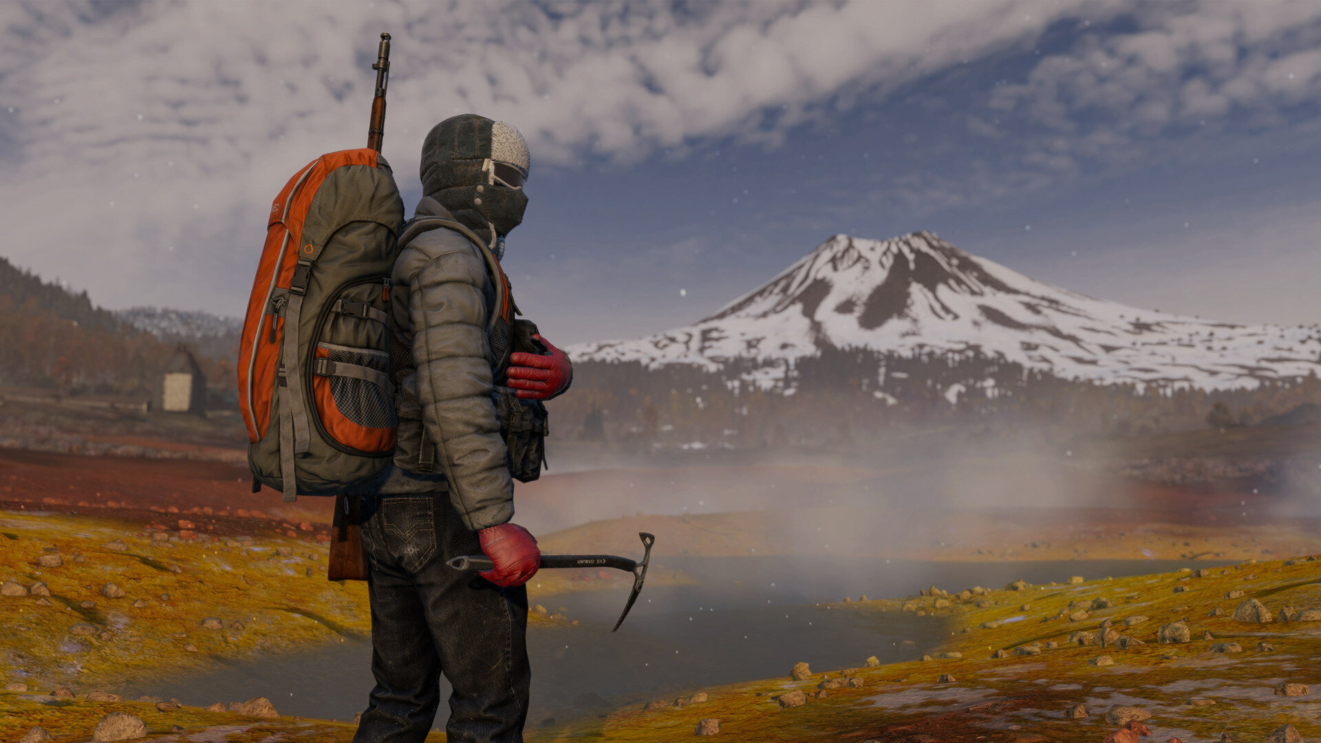DayZ Cool издание PC Steam Аккаунт • Активация Steam • регион Весь мир