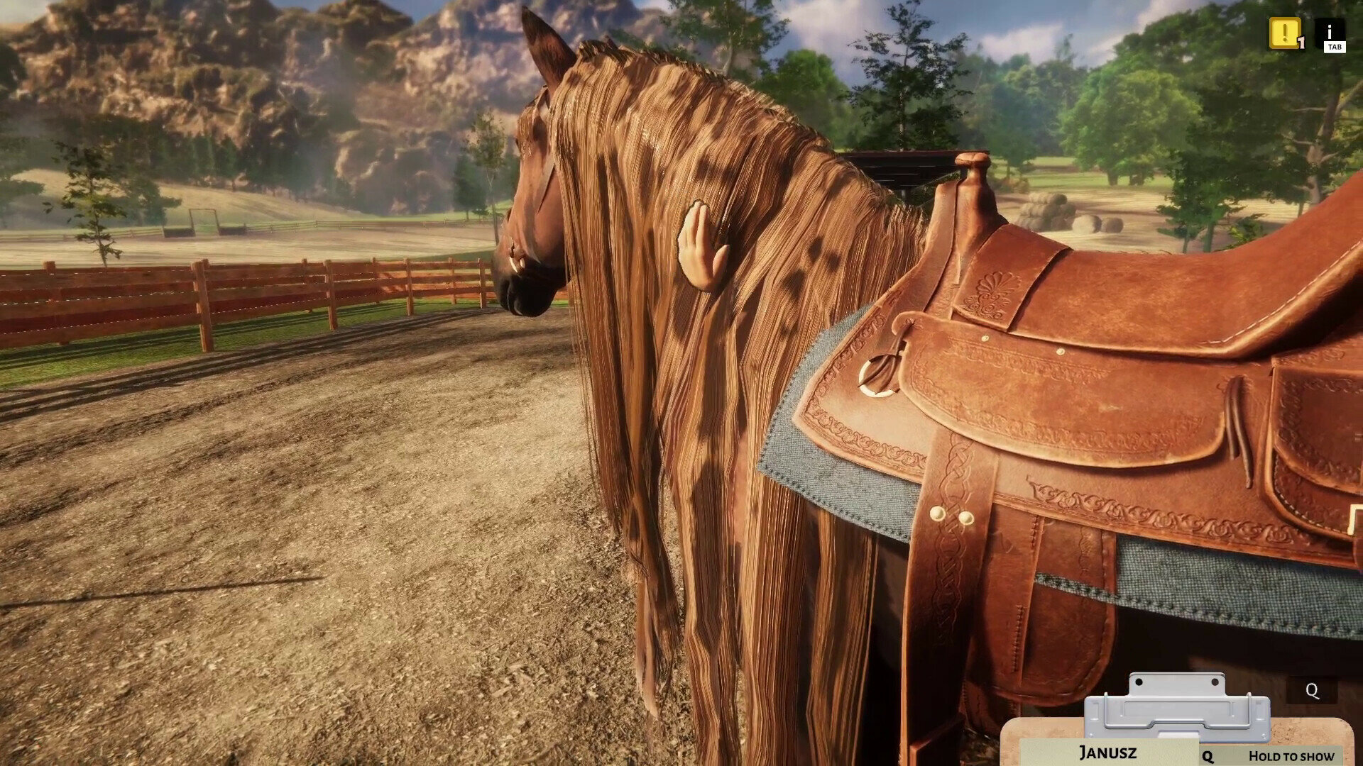 Animal Shelter - Horse Shelter DLC PC Steam Ключ • Активация Steam