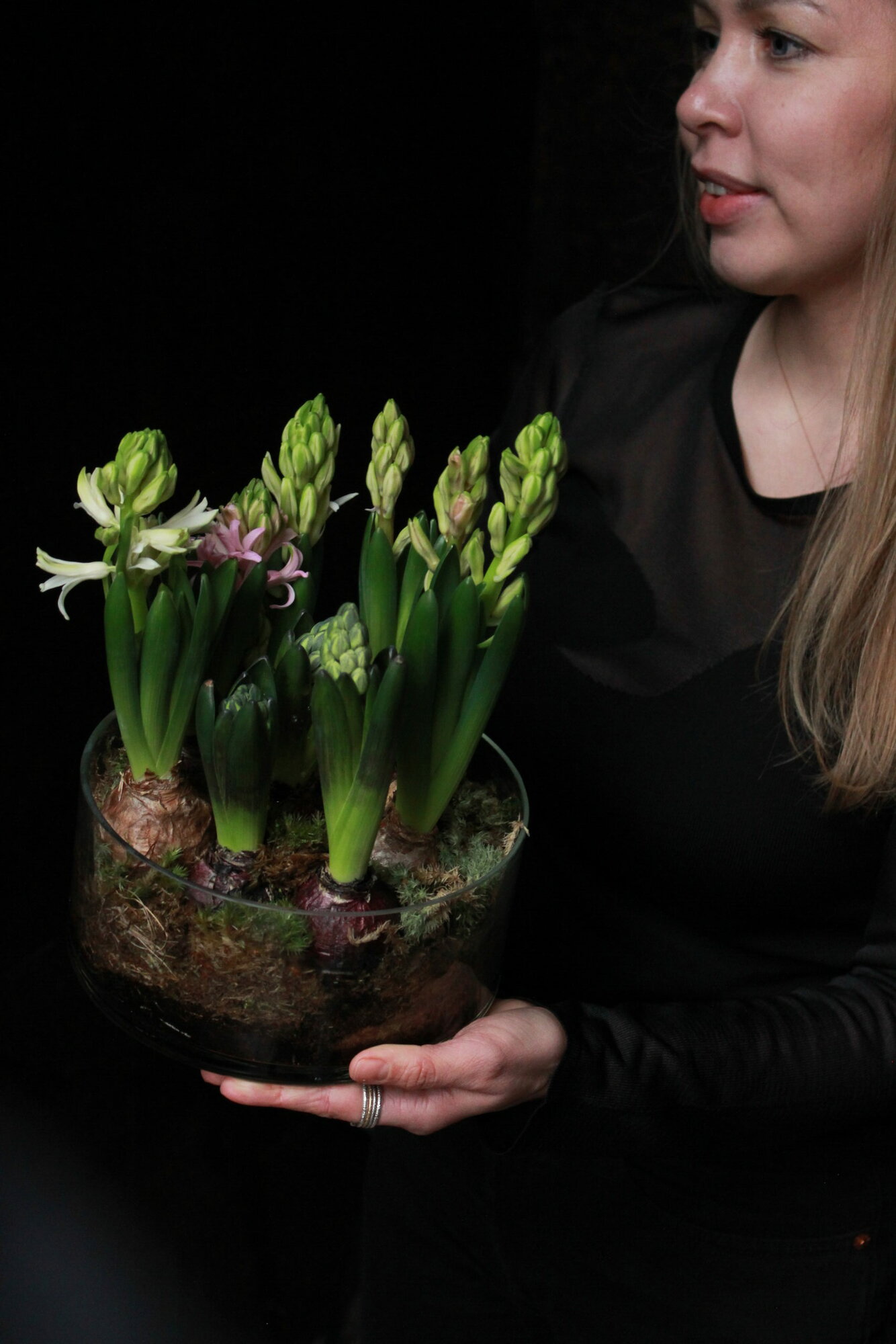 Садик из живых гиацинтов с луковицами в стеклянной вазе с мхом