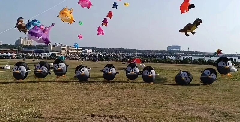 Воздушный змей Breezemoon, пингвин, нейлон Черный, Penguin