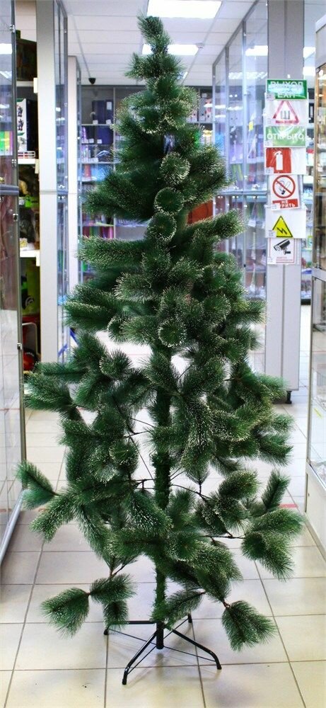 Сосна 2.1м, пушистая, с инеем и шишками