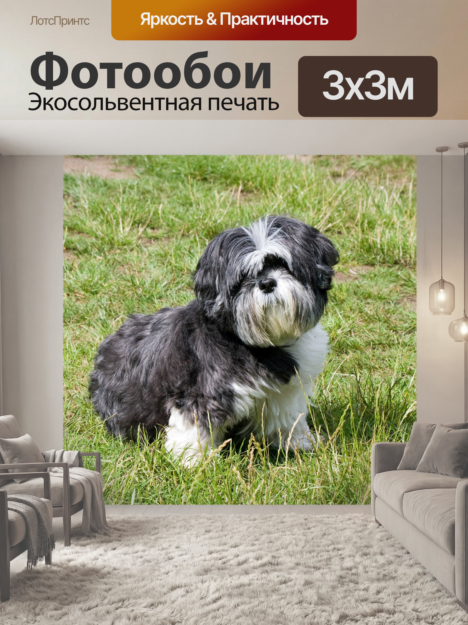 Фотообои "Собака, ши тцу, милый" 300x300 см. экосольвентная печать