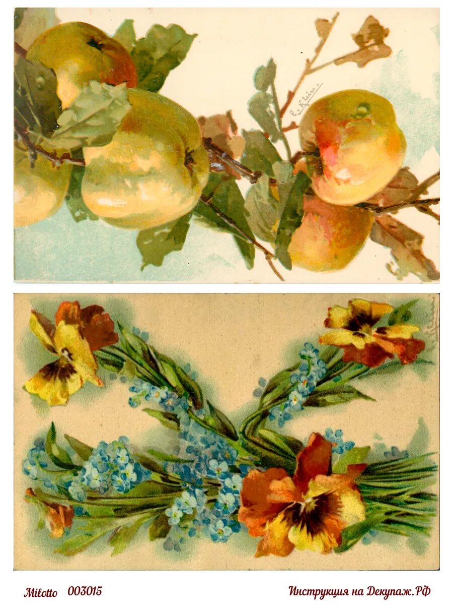 Декупажная карта рисовая бумага А4 цветы яблоки на ветке