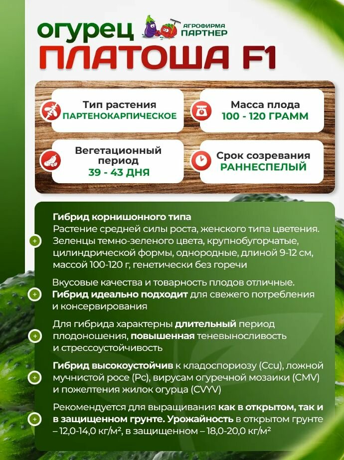 Семена огурцов Платоша — фото 1