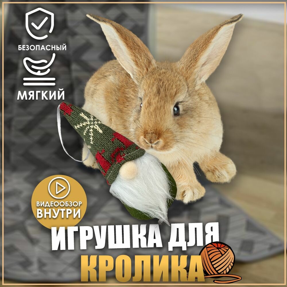 Игрушка для кролика гномик