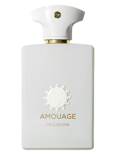 Amouage Decision парфюмерная вода унисекс 100 мл древесный фужерный аромат 2025 — фото 1