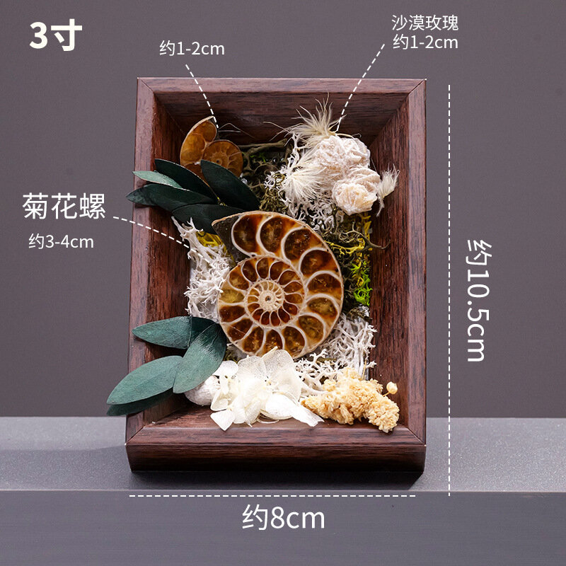 Натуральный кристалл, необработанный камень, фоторамка-украшение, минеральный аметист, окаменелость улитки, кристалл с вечным цветком, декоративное украшение для рабочего стола.