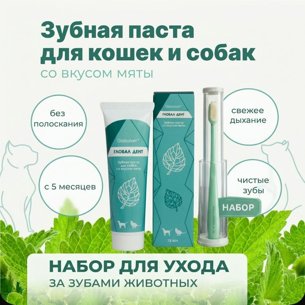 Набор. Зубная паста для собак и кошек с мятой Глобал-вет + зубная щетка Денталвет