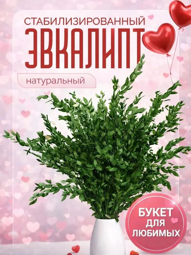 Стабилизированные цветы Маранта, 18 см, 77 гр, 1 шт