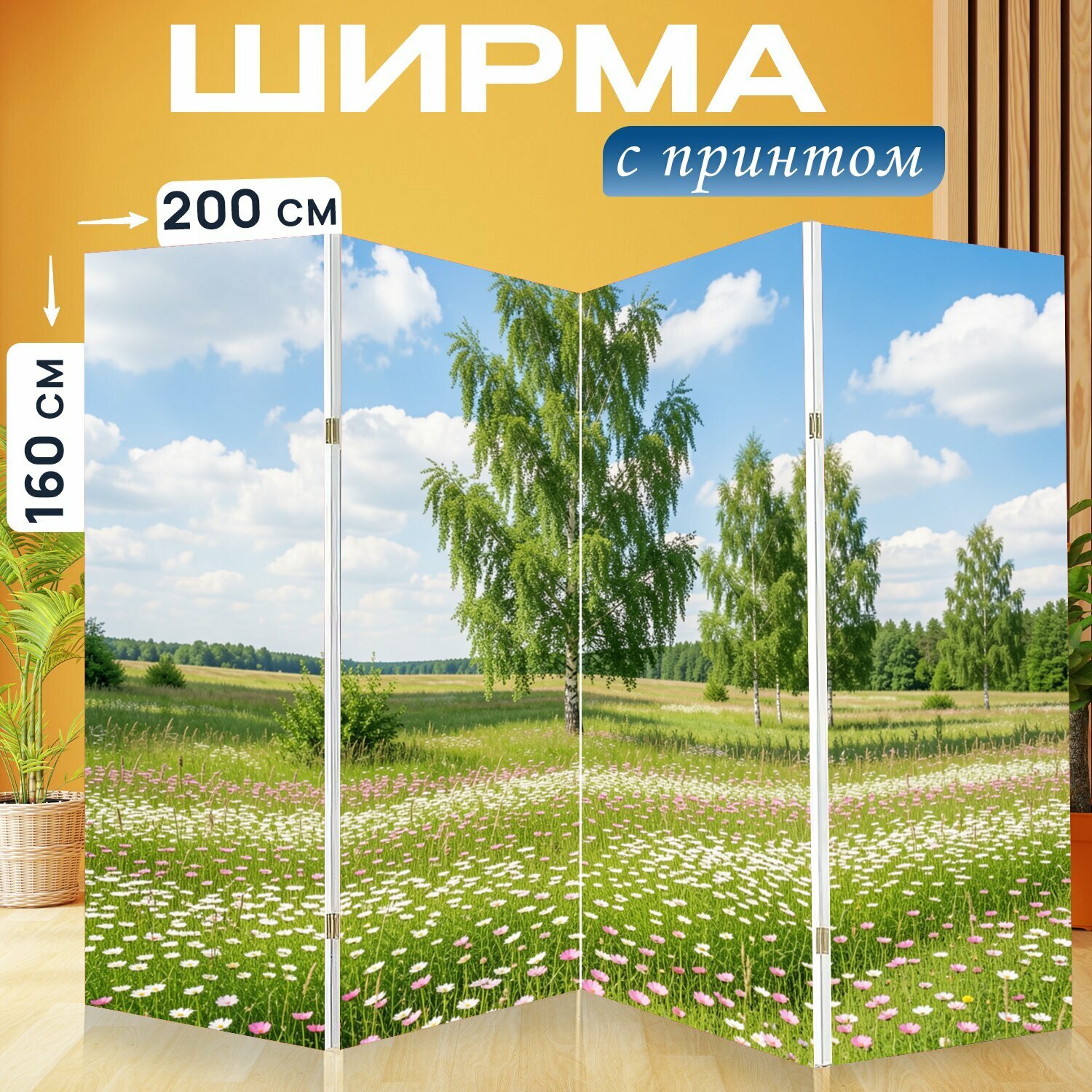 Ширма "Летний луг с березами. Просторная солнечная поляна с бело-розовыми полевыми цветами, зелеными деревьями." перегородка для зонирования комнаты с принтом 200x160 см. на холсте