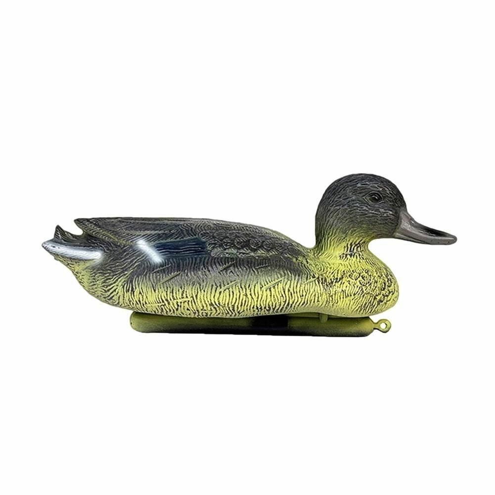 Чучела уток Кряква Премиум 1 шт