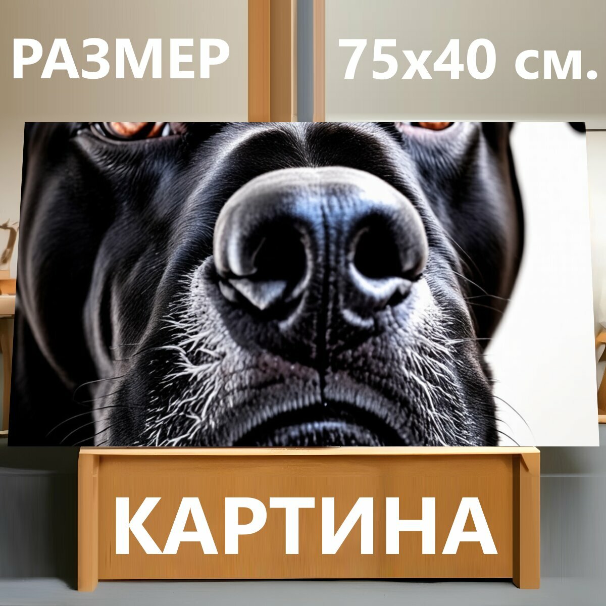 Картина на холсте "Макросъемка носа черной собаки с четкой текстурой, на фоне белой стены, акцент на детали и выражении, подчеркивающей шерсть и морщины." на подрамнике 75х40 см. для интерьера
