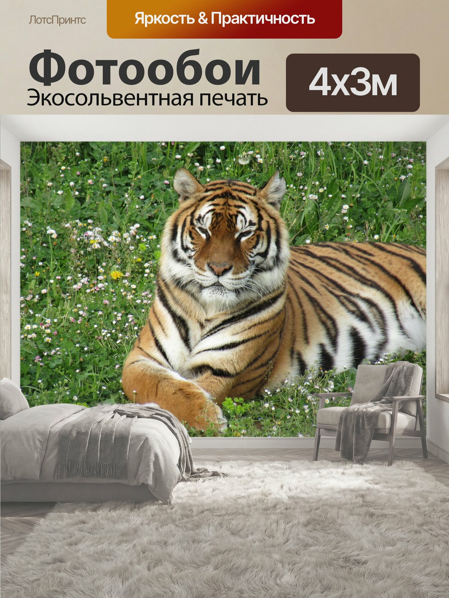 Фотообои "Тигр, зоопарк, фауна" 400x300 см. экосольвентная печать