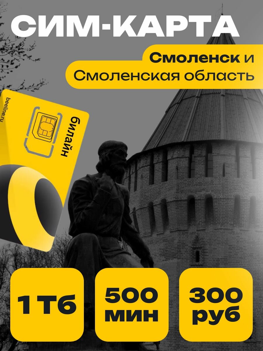 Сим-карта Билайн тариф Эксклюзивный Смоленская область 1000 Гб + 500 минут за 300 руб.