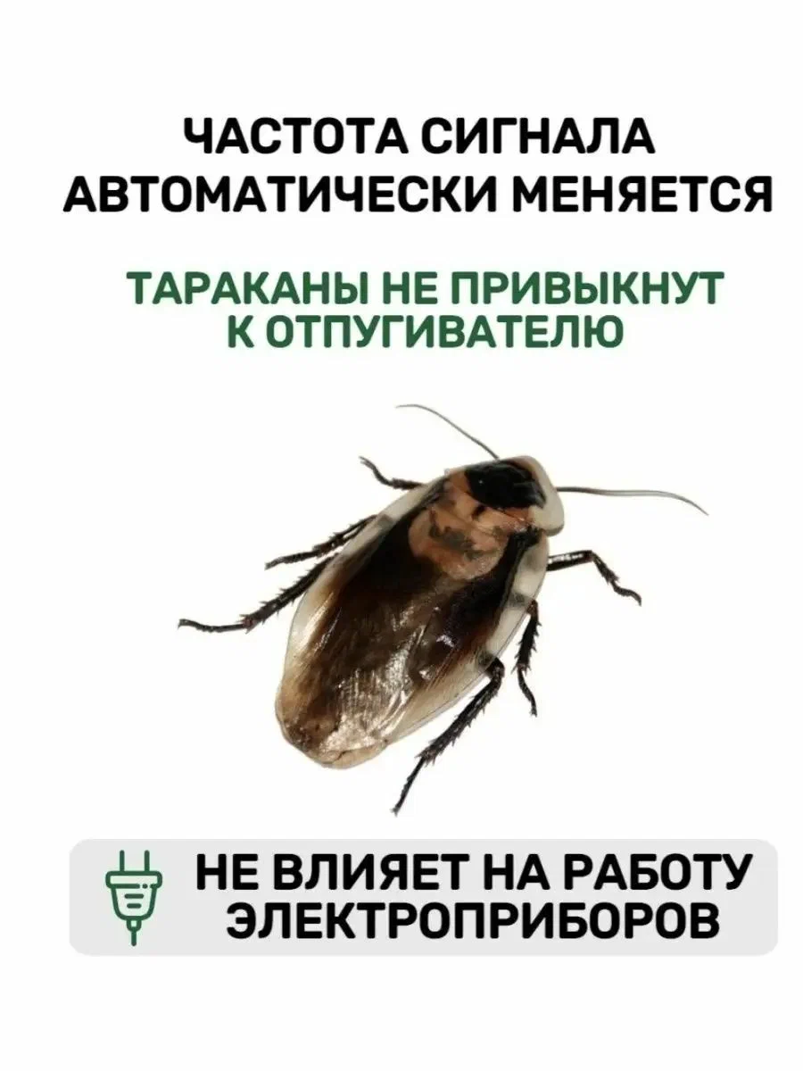 Электрический мощный отпугиватель 50 м2 квартиры тараканов пауков муравьёв universal OT1