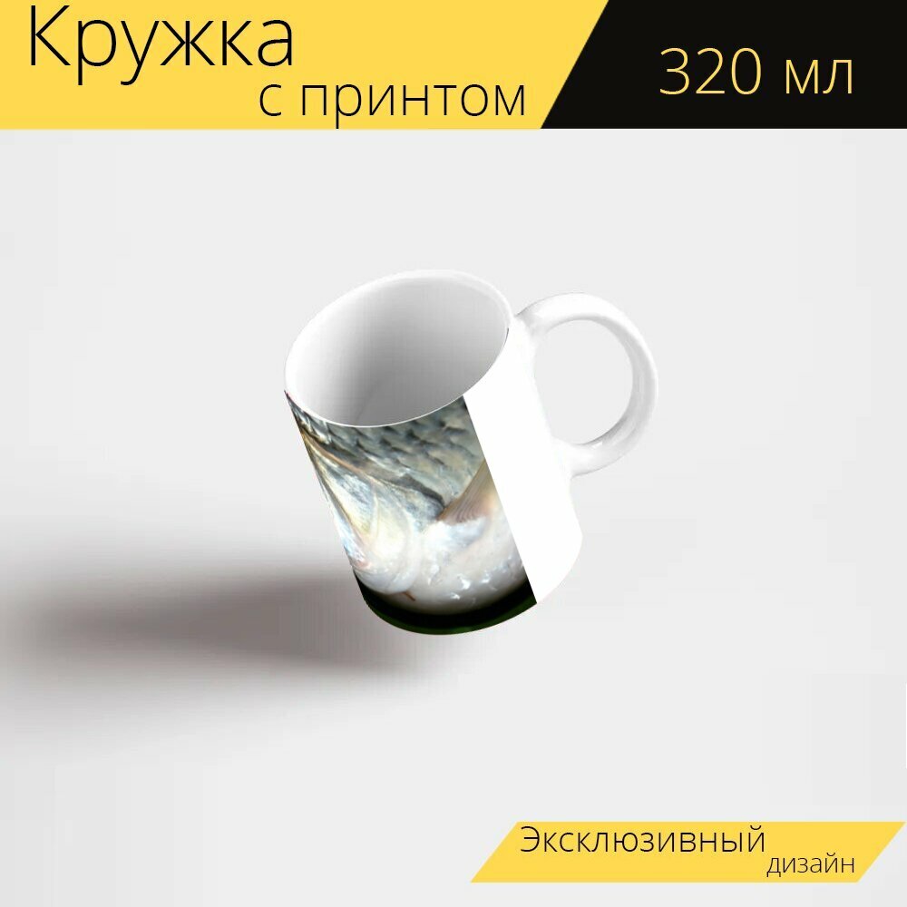 Кружка с рисунком, принтом "Пресноводная рыба фото Пресноводная рыба фото рыба карп еда река щука маскировка карпов Cypriniformes упрямец карповые плотва щупальце судак." 320 мл.