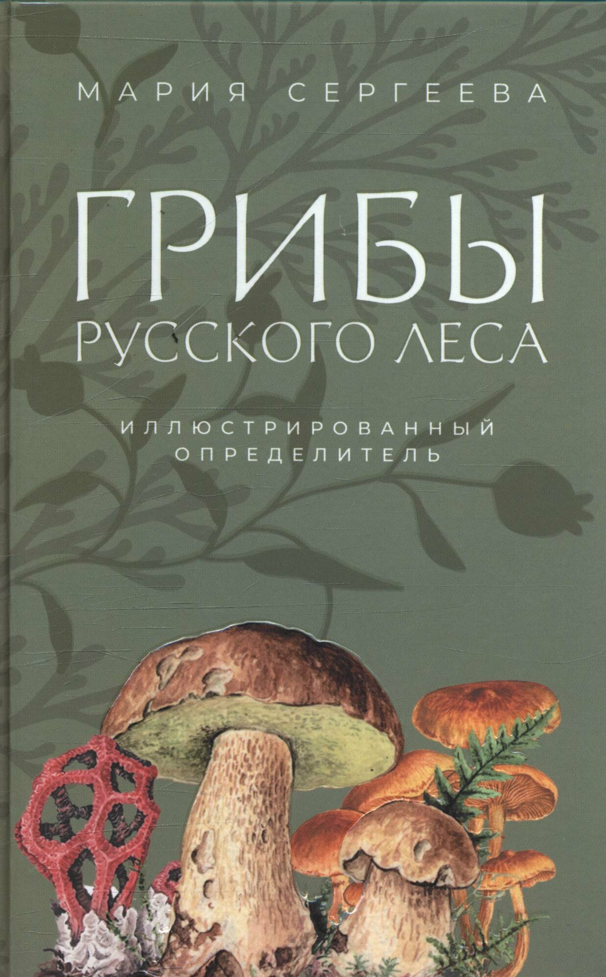 Сергеева Мария Николаевна: Грибы русского леса. Иллюстрированный определитель