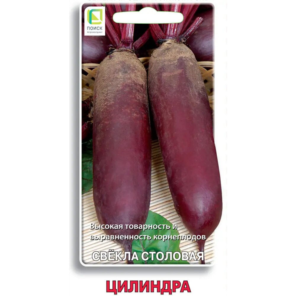Семена овощей Поиск свекла столовая Цилиндра 5-9 см диаметром
