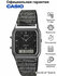 CASIO