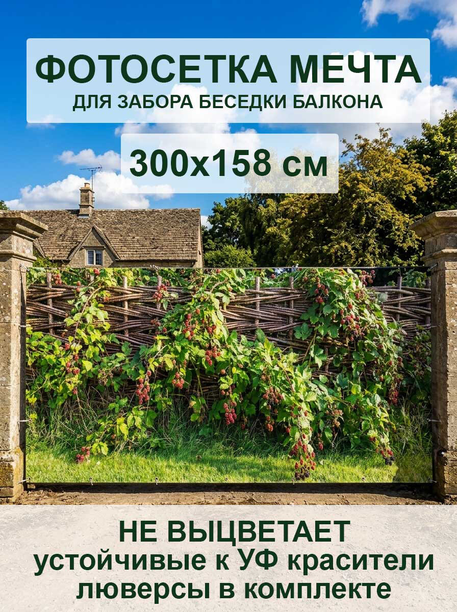 Фотосетка Мечта "Сделай сам" 300x158 см "Ежевика садовая" для декора забора, беседки, бассейна