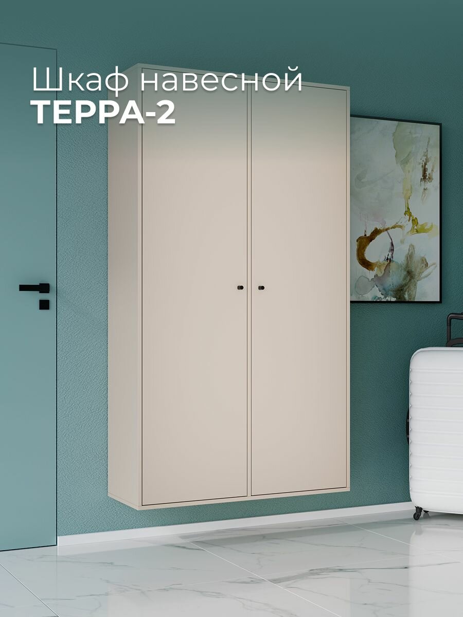 Шкаф навесной двухдверный в прихожую Терра-2 ЛДСП 98 х 35 х 175 см