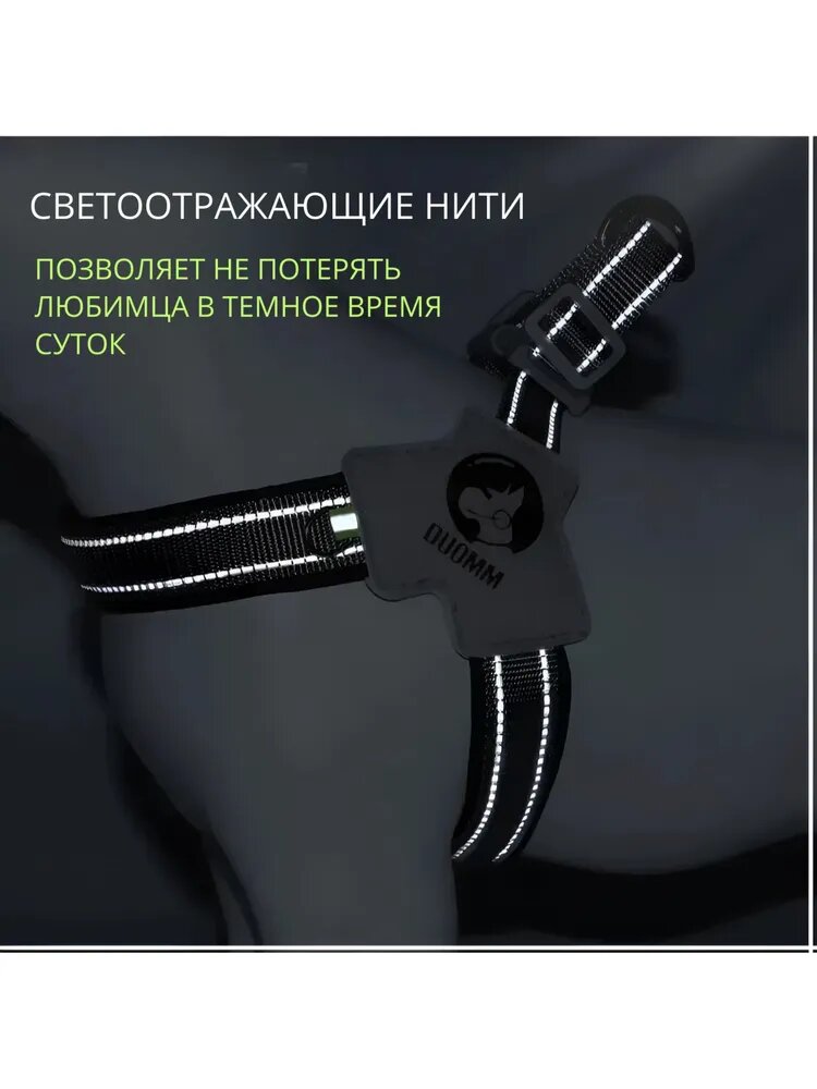 Шлейка — фото 1