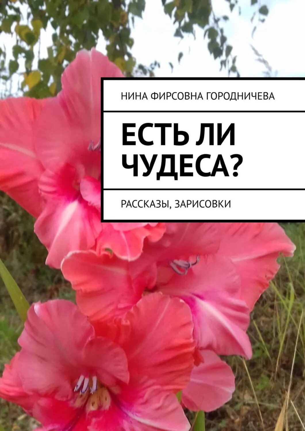 Есть ли чудеса? Рассказы, зарисовки [Цифровая книга]