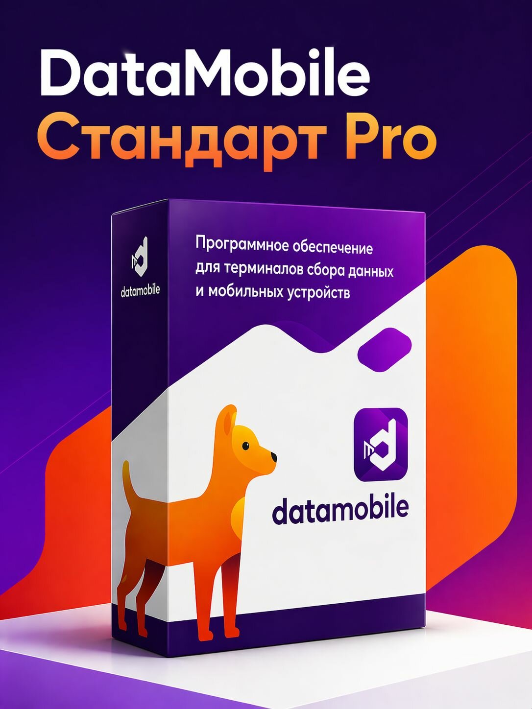 DataMobile Стандарт PRO лицензия на 12 месяцев