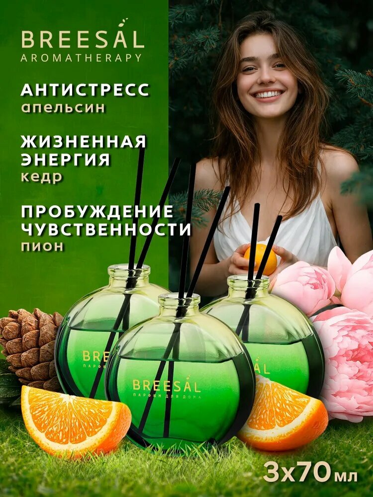 Диффузор для дома, ароматизатор с палочками Breesal, набор 3 шт.