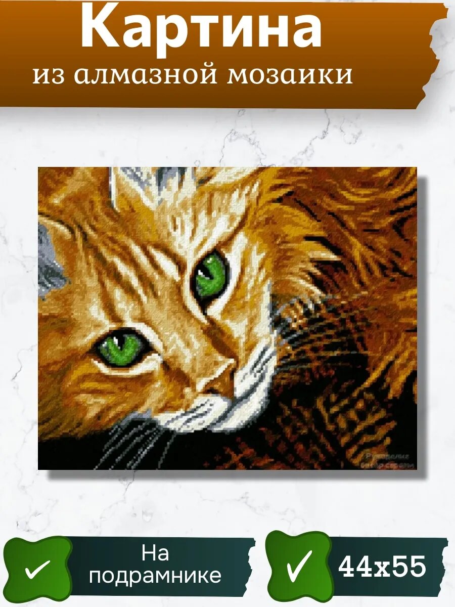 Алмазная мозаика на подрамнике 44х55