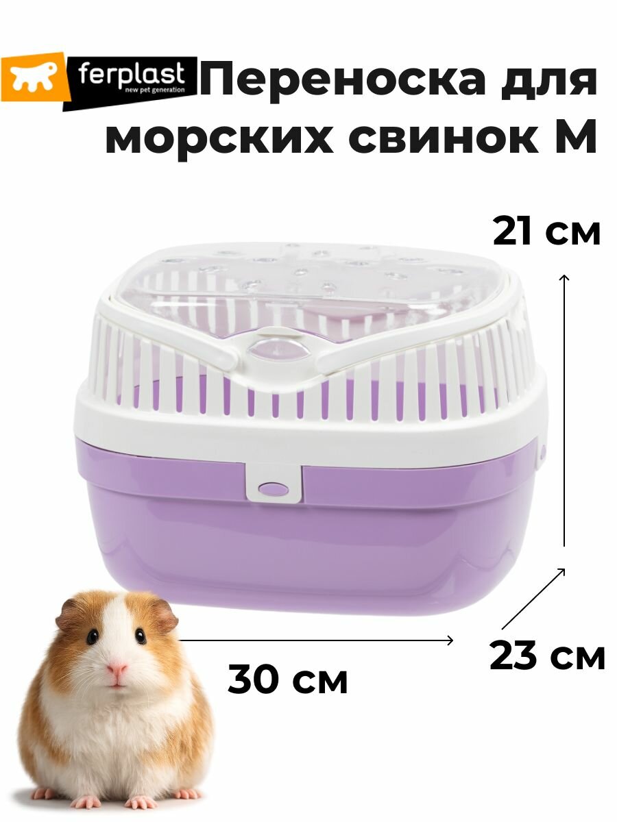 Переноска Ferplast ALADINO M, для морской свинки, пластик, фиолетовая, 30 см x 23 см x 21 см