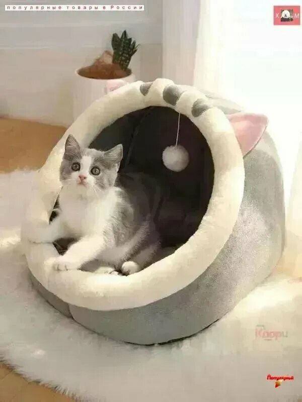 Домик для животных