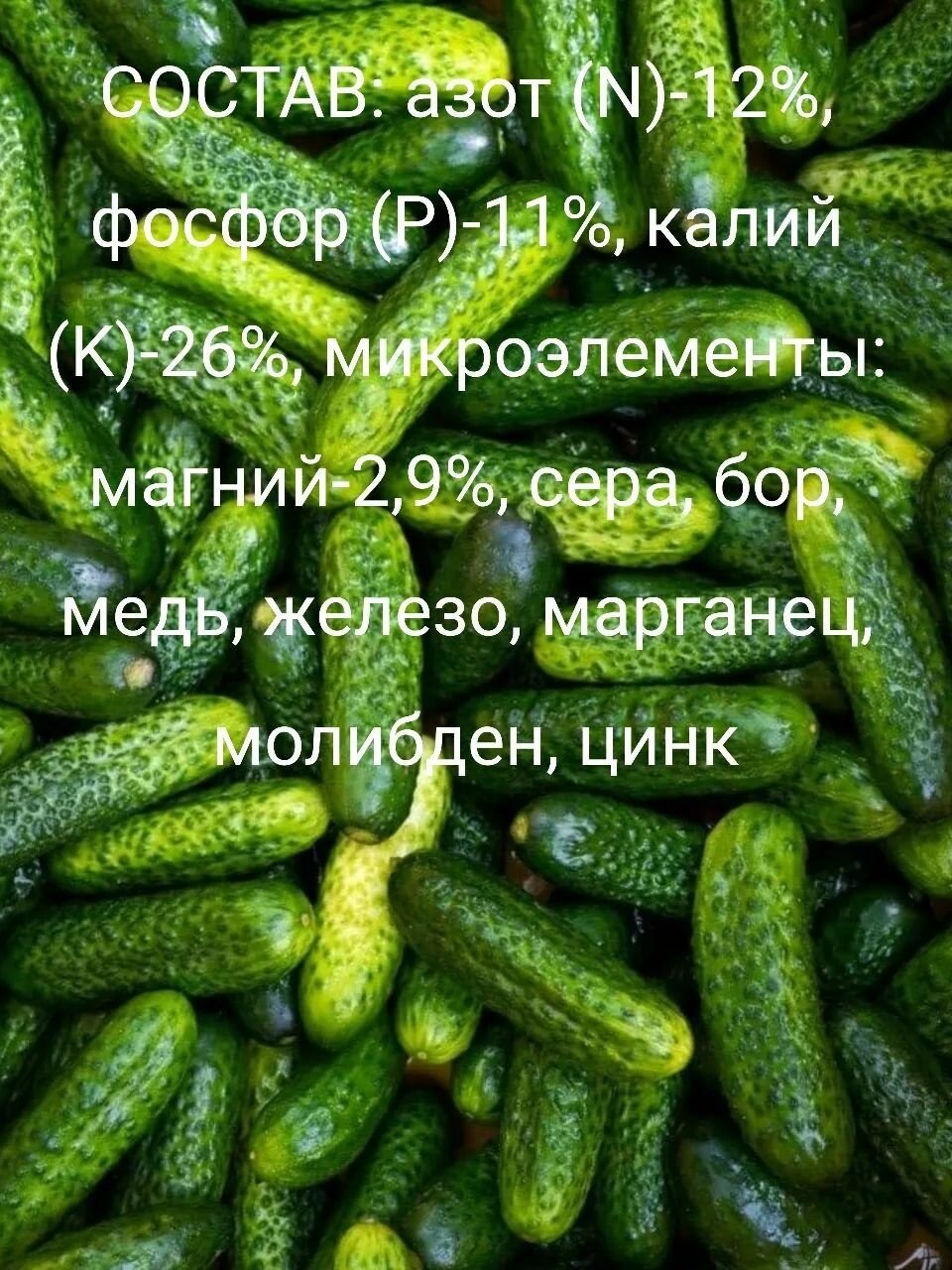 Фертика для огурцов, кабачков, патиссонов — фото 1