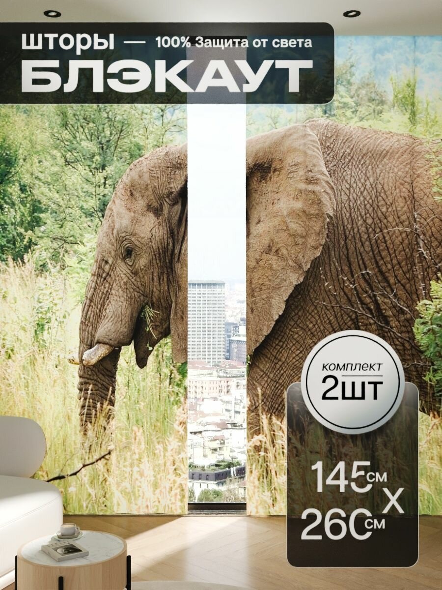 Шторы блэкаут 145x260 см 2 шт на окна плотные комплект