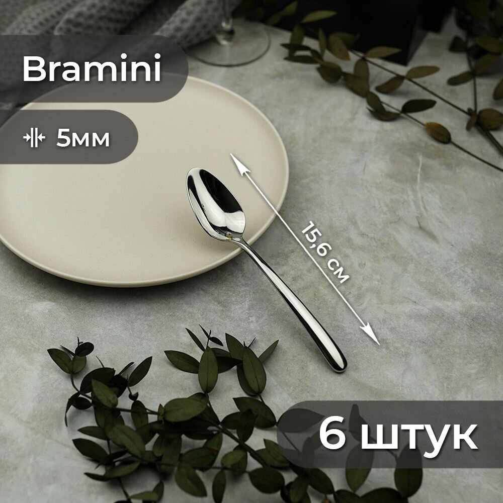 Набор чайных ложек Bramini 15,6 см, 6 шт