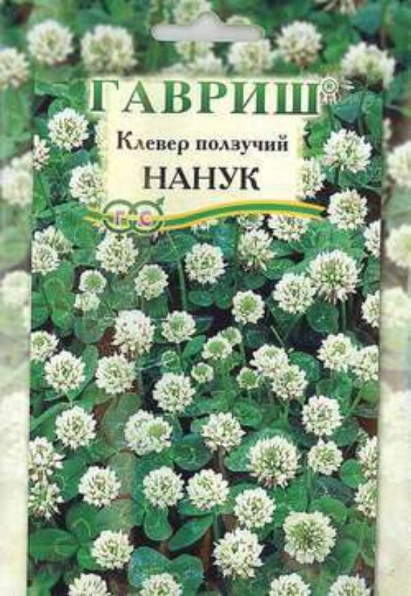 Семена газона Гавриш белый клевер ползучий, Нанук, низкорослый, медонос, 20 г 004210