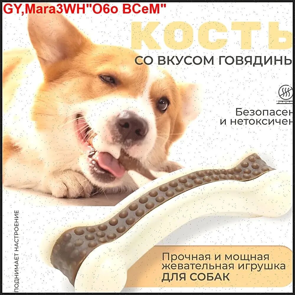 Игрушка для собак жевательная кость с лакомством для мелких, средних и крупных пород, антистресс для улицы и дома, прочная